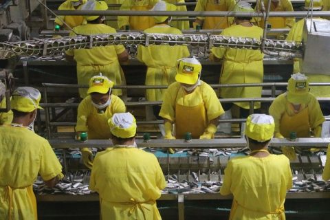 Four Decades of Catching and Canning: The Secret to Mega Global's ...