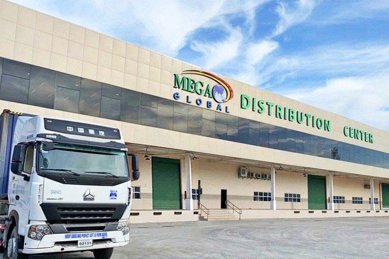 History of Mega Global Corporation
