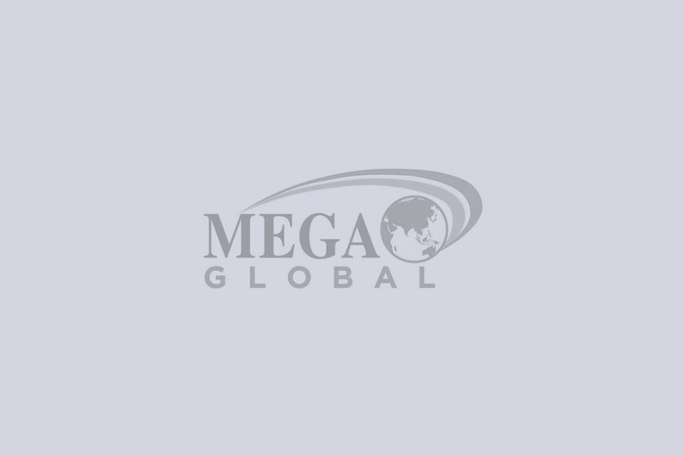 Mega Global Corporation Throws Kiddie Party for TNKP Beneficiaries ...