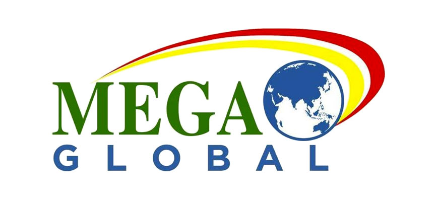 History of Mega Global Corporation