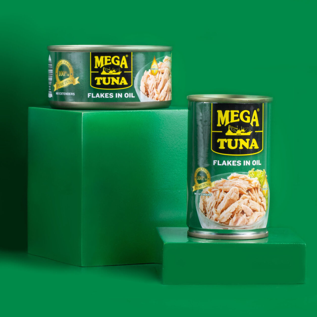 History of Mega Global Corporation