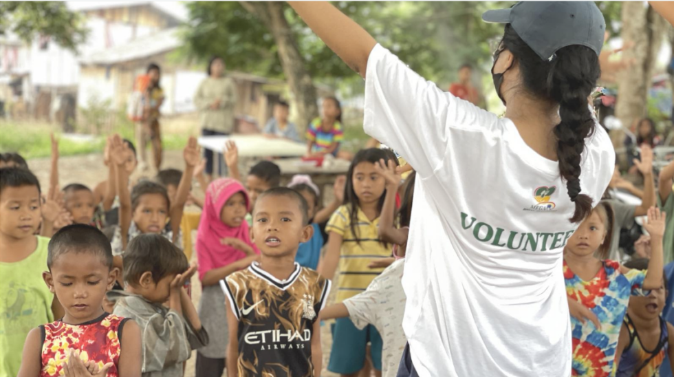 History of Mega Global Corporation