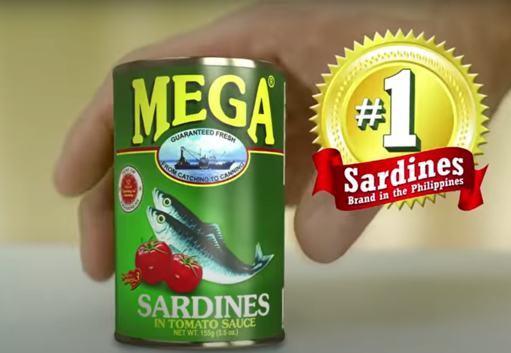 History of Mega Global Corporation