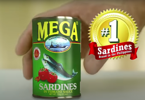 History of Mega Global Corporation